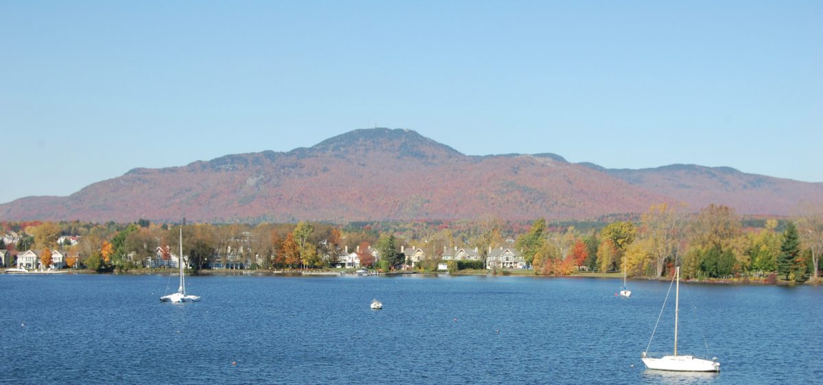 Fiches - Forêt Estrie