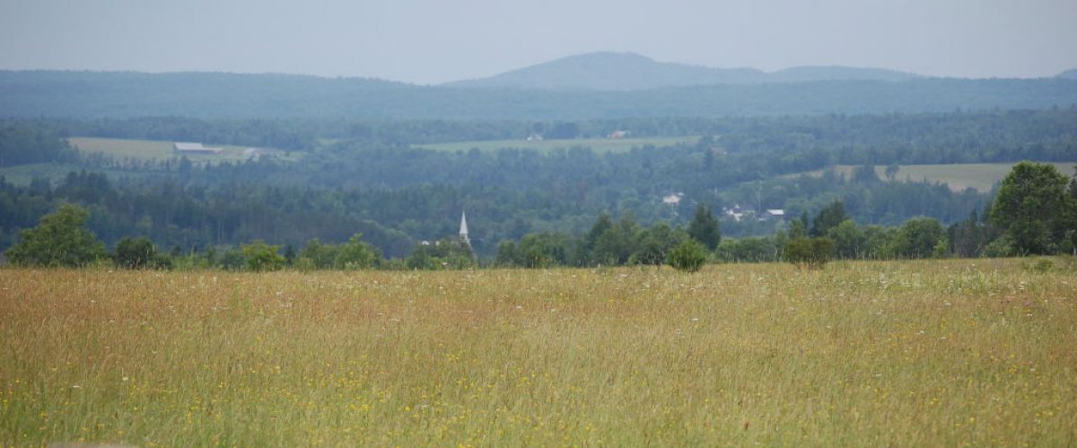 À propos - Forêt Estrie