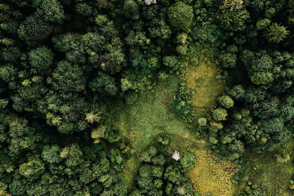 Accueil - Forêt Estrie